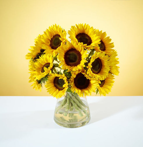 Zing Flowers | Online Flower Delivery | Add A Little Zing